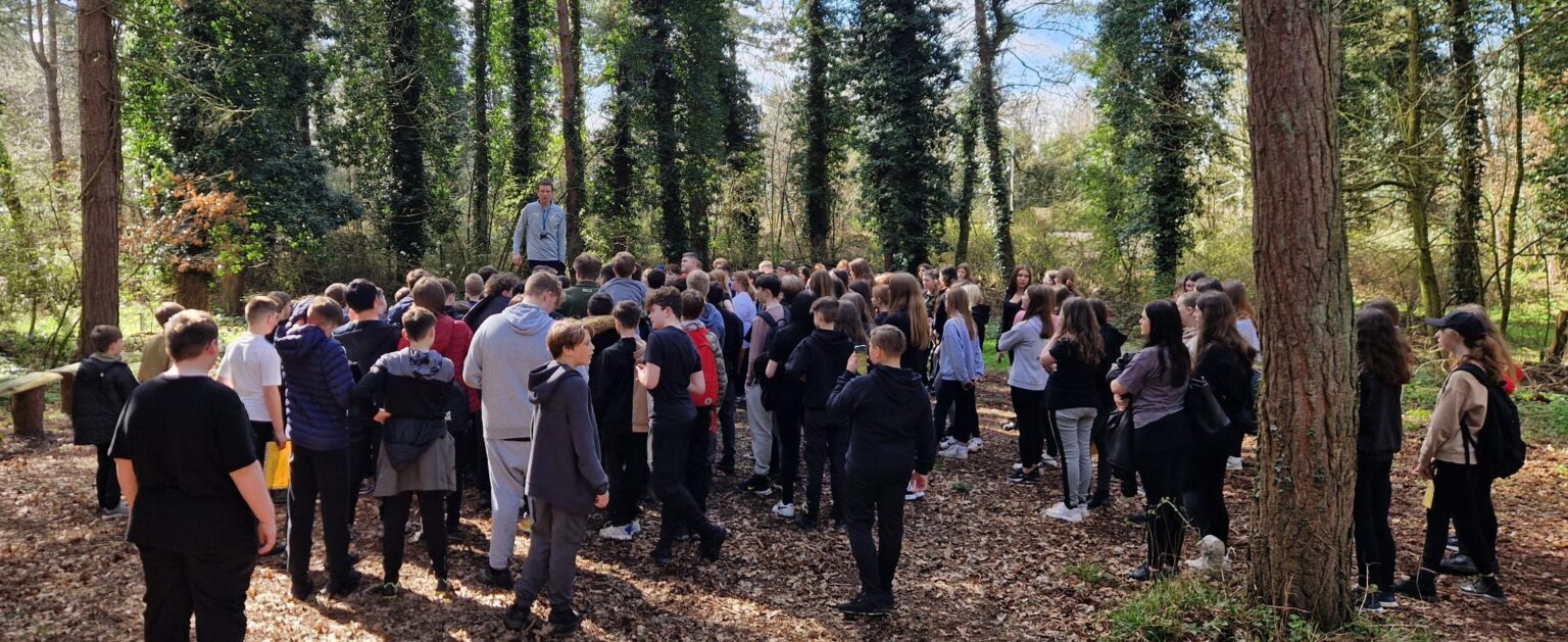 Home - The Nicholas Hamond Academy